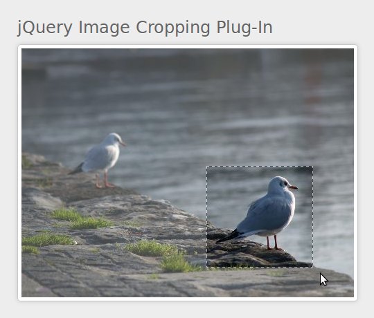 Ako vytvoriť jQuery plugin na orezávanie obrázku od základu - časť I | Návod | jQuery